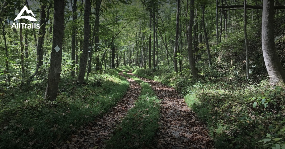 Best hikes and trails in Burnside | AllTrails