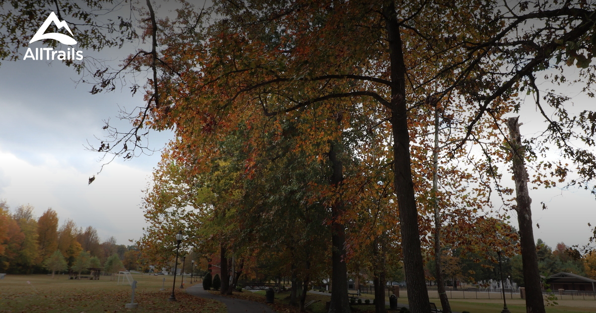 Best forest trails in Calvert City | AllTrails