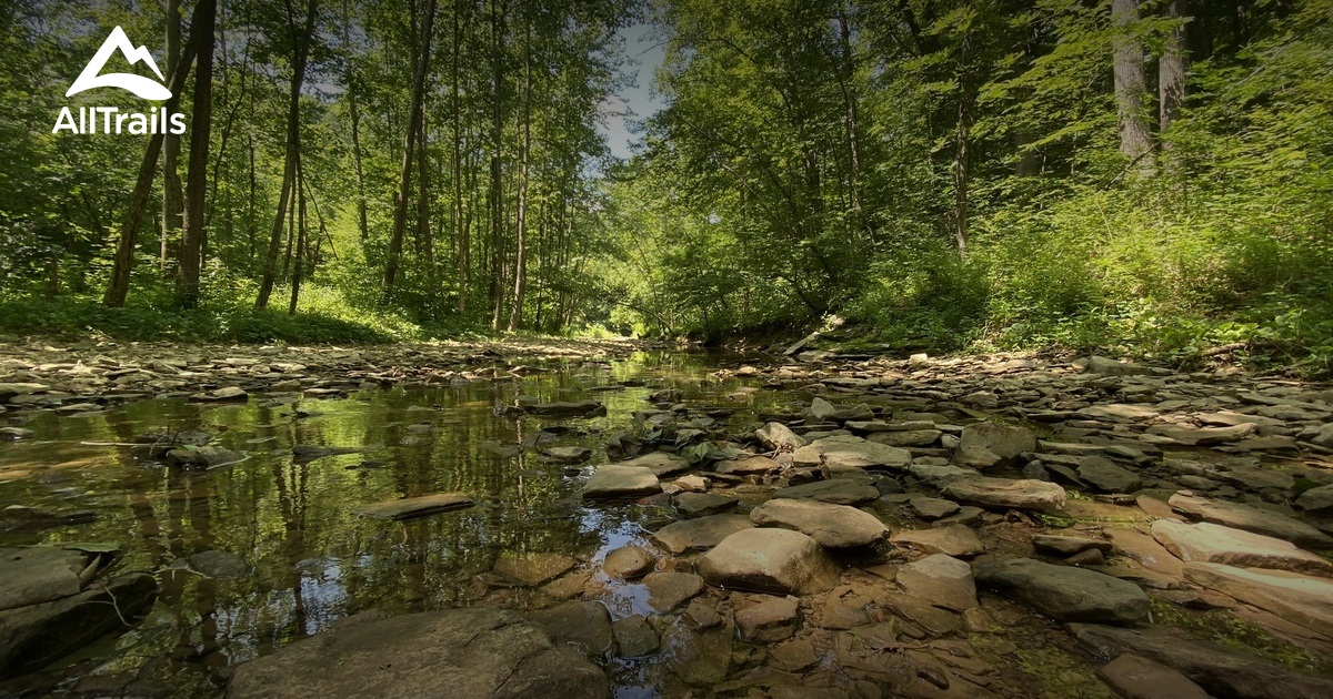 Best river trails in Carter | AllTrails