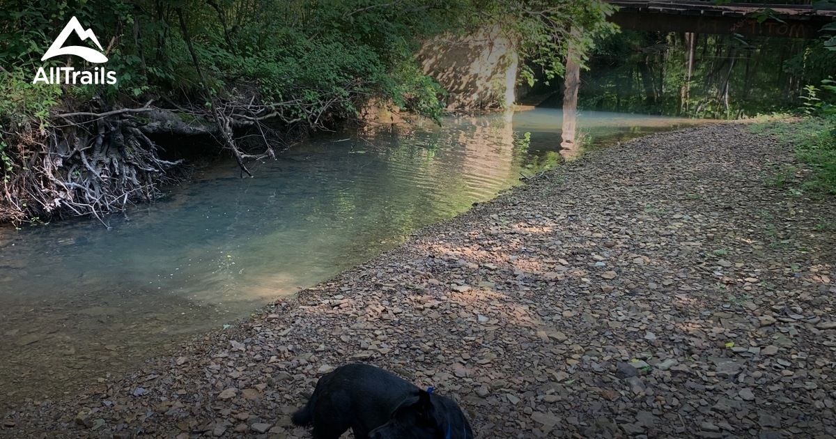 Best forest trails in Cerulean | AllTrails