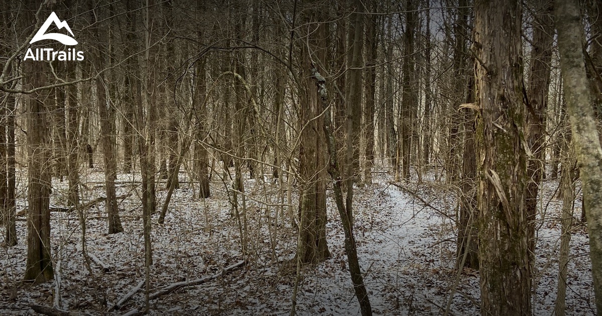 Crestwood : les meilleures randonnées courtes | AllTrails