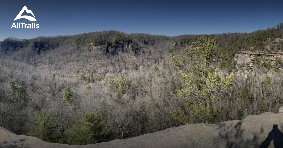 10 Best trails and hikes in Frenchburg | AllTrails