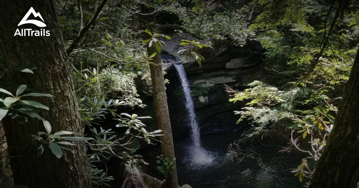 Best waterfall trails in Gray Hawk | AllTrails