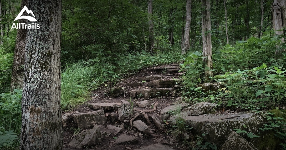 Best hikes and trails in Nicholasville | AllTrails