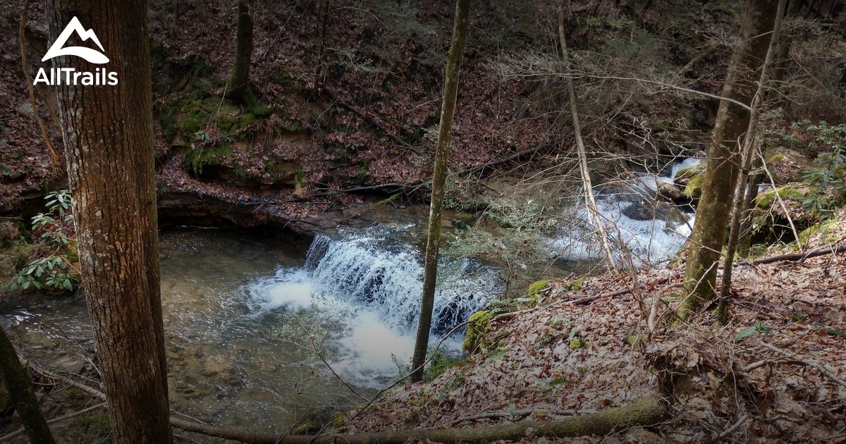 Best hikes and trails in Pine Knot | AllTrails