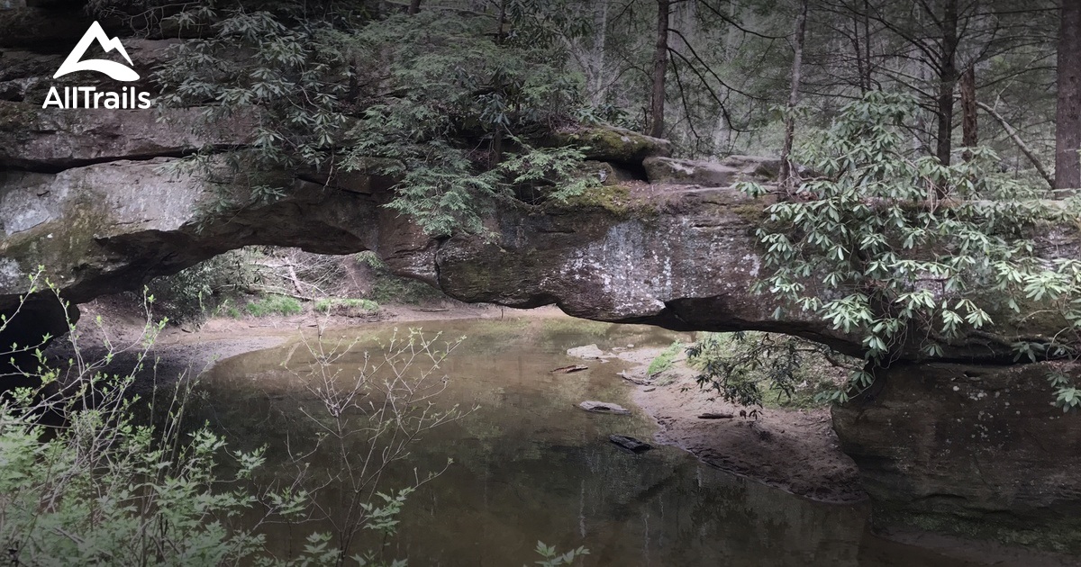 Best Trails near Pine Ridge - Kentucky | 840 Photos & 660 Reviews ...