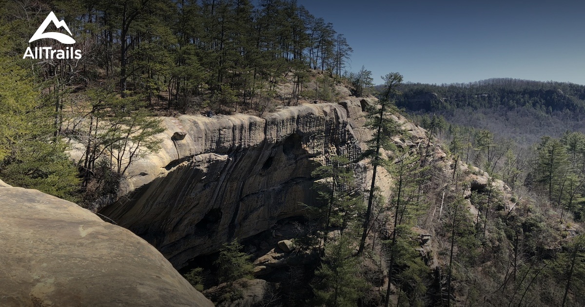 Best Trails near Pine Ridge, Kentucky | AllTrails