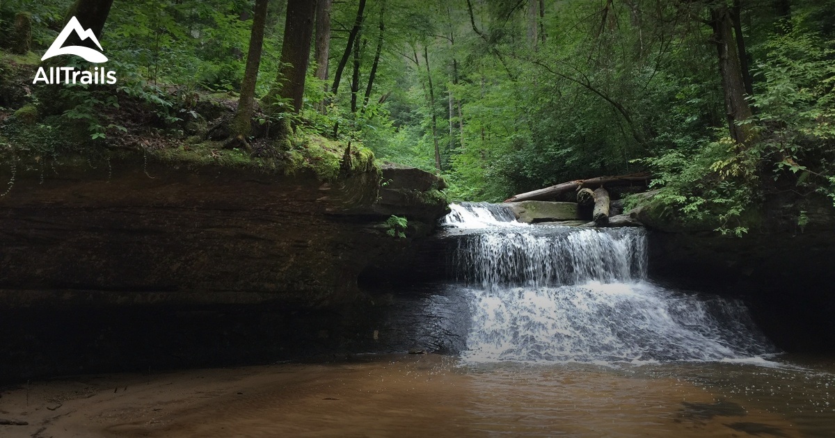 10 Best trails and hikes in Pine Ridge | AllTrails