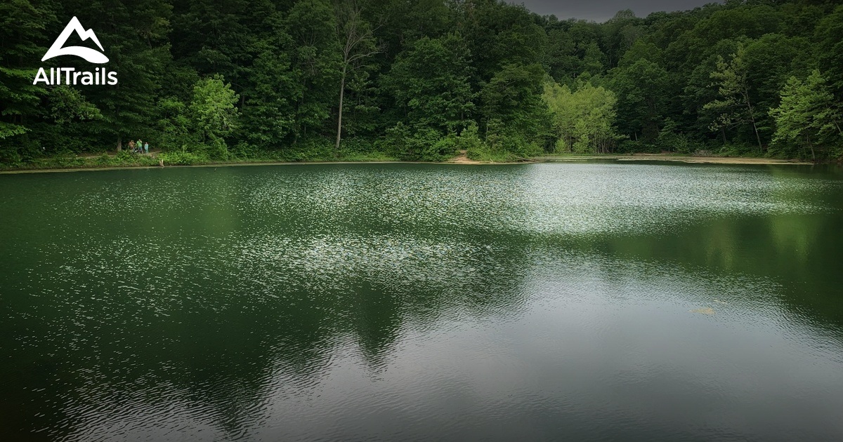 Best hikes and trails in Radcliff | AllTrails