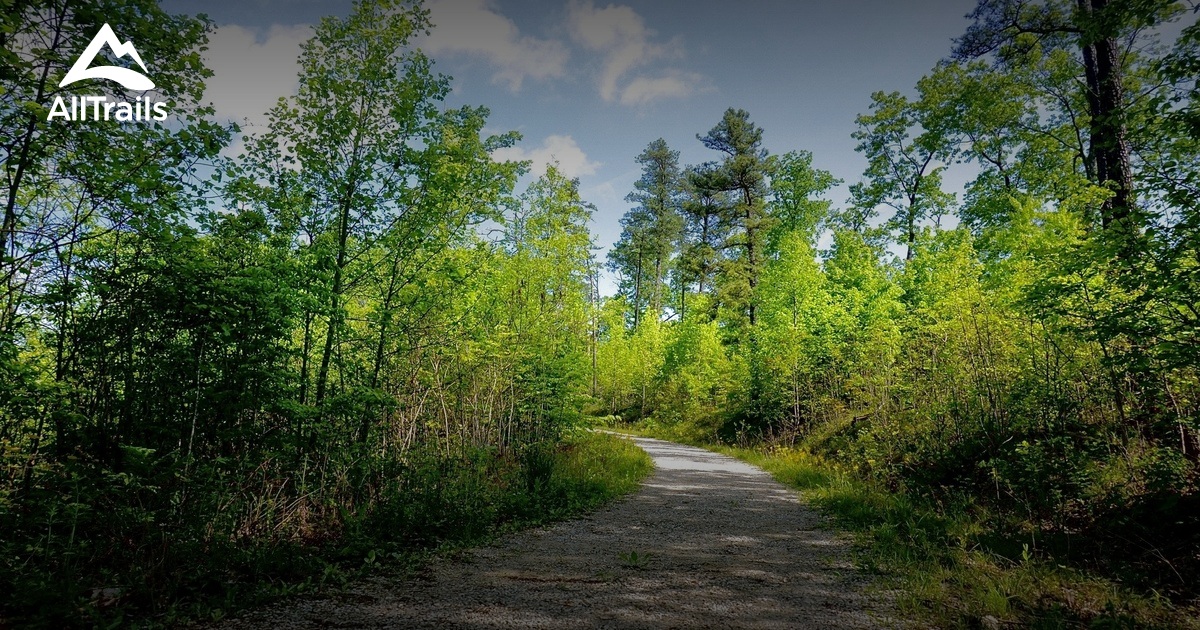 Best Trails near Slade, Kentucky | AllTrails