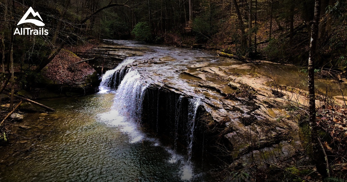 Best forest trails in Stearns | AllTrails