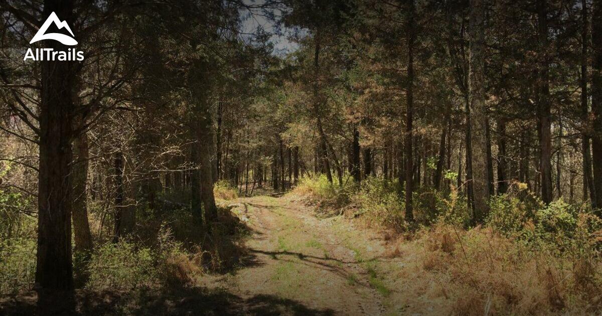 Best forest trails in Warsaw | AllTrails