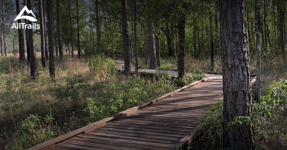 Best hikes and trails in Abita Springs | AllTrails