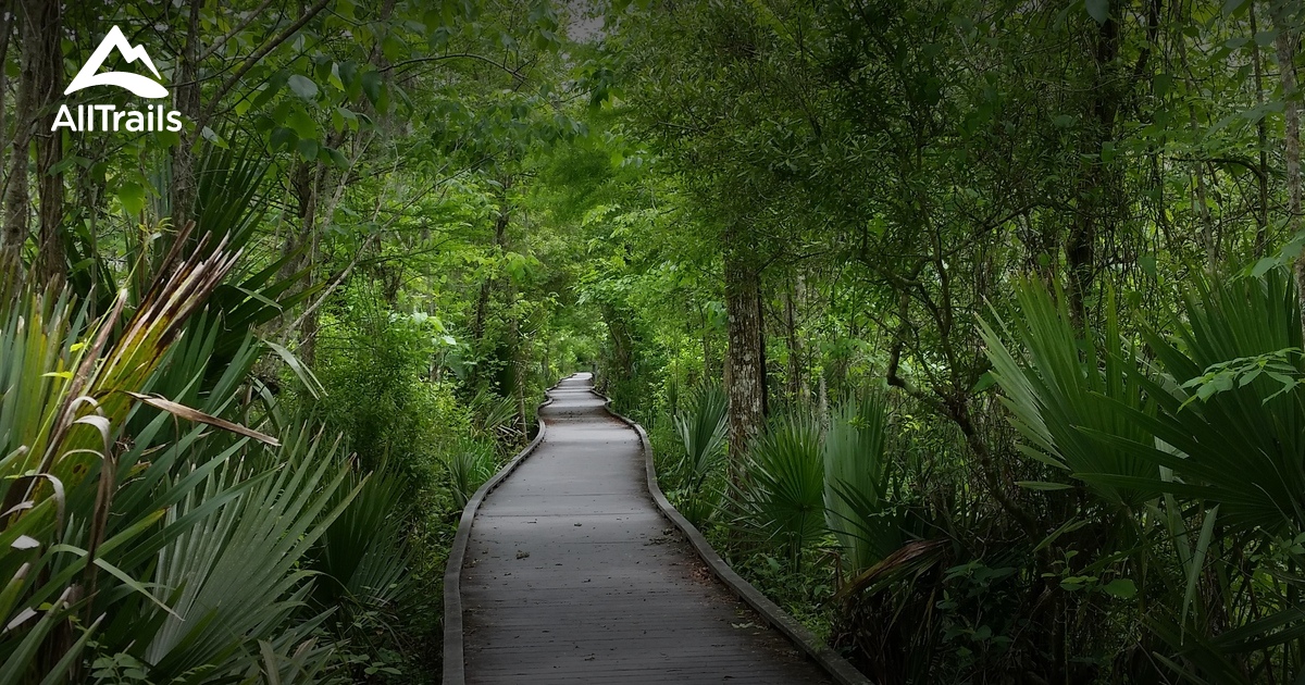 Best hikes and trails in Barataria | AllTrails