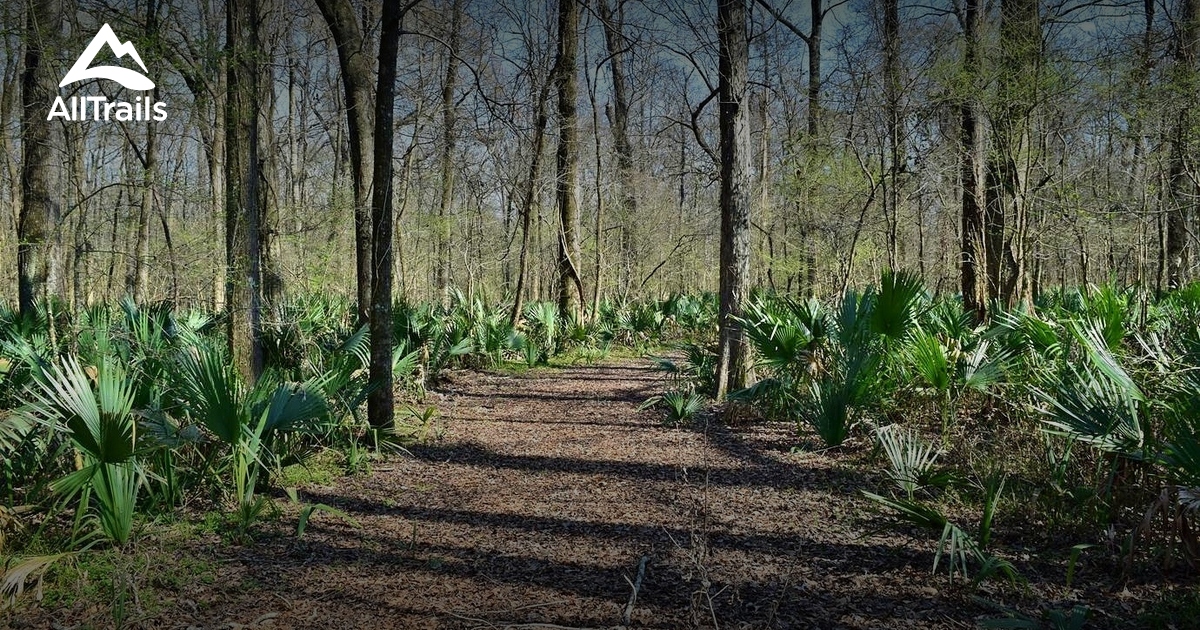 Best hikes and trails in Ferriday | AllTrails