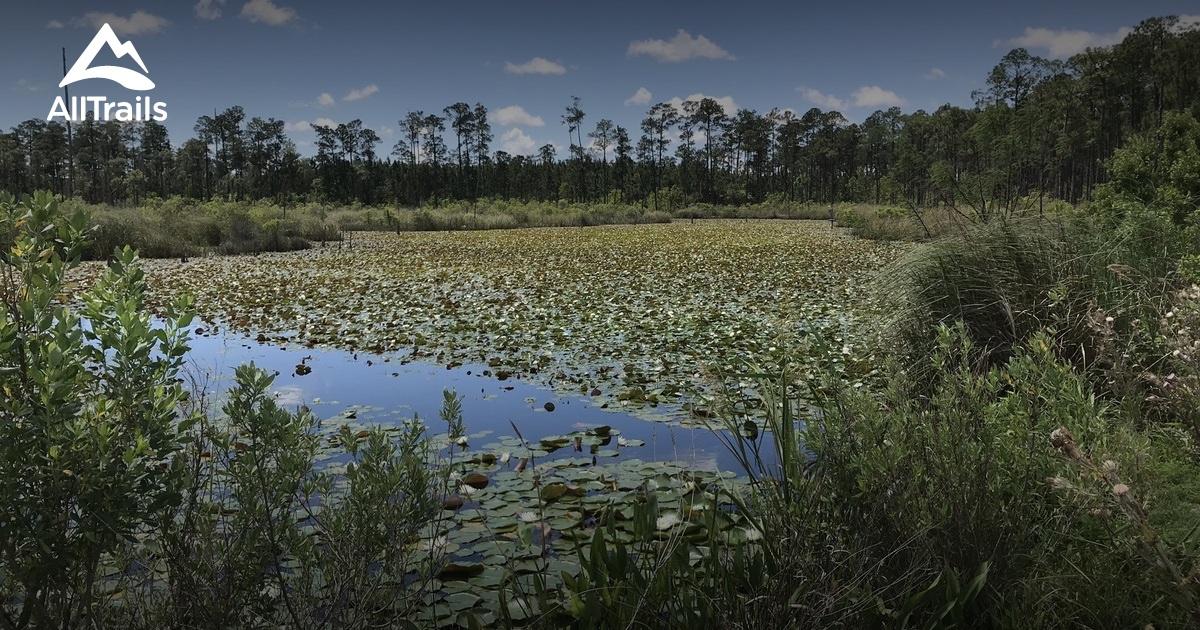 Best hikes and trails in Lacombe | AllTrails