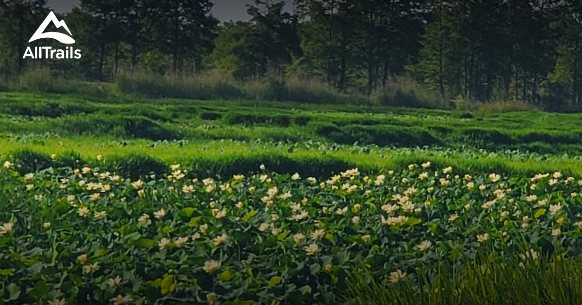 Best fishing trails in Lake Arthur | AllTrails