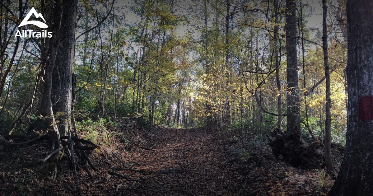 Best hikes and trails in Lettsworth | AllTrails