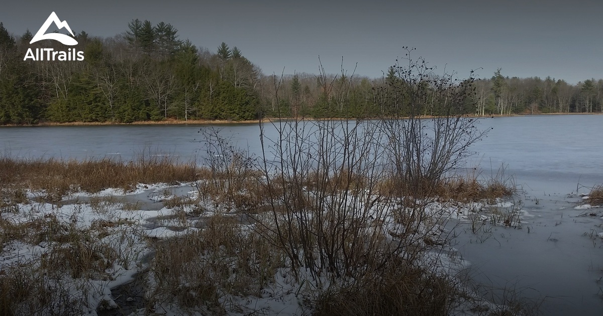 Best hikes and trails in Alfred | AllTrails