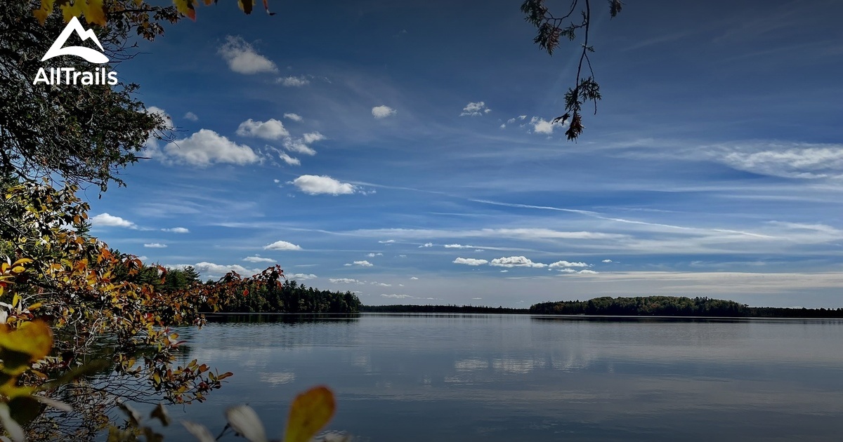 Best forest trails in Alton | AllTrails