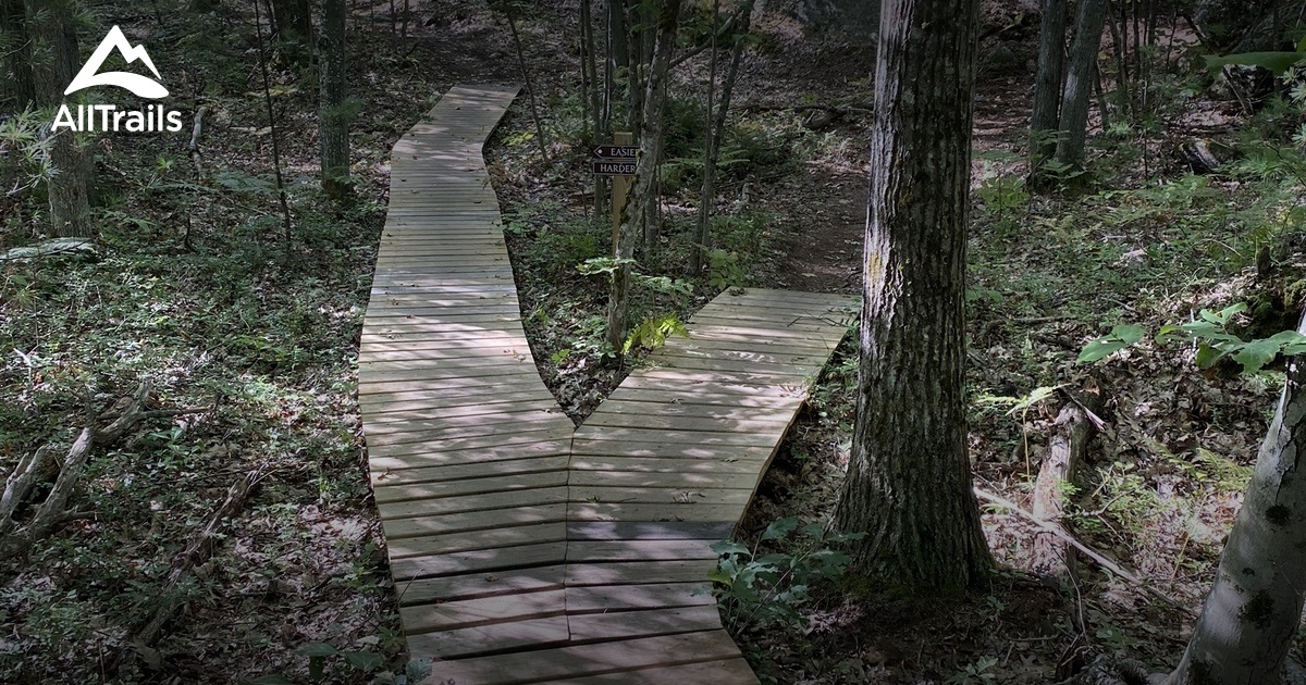 Best forest trails in Arundel | AllTrails