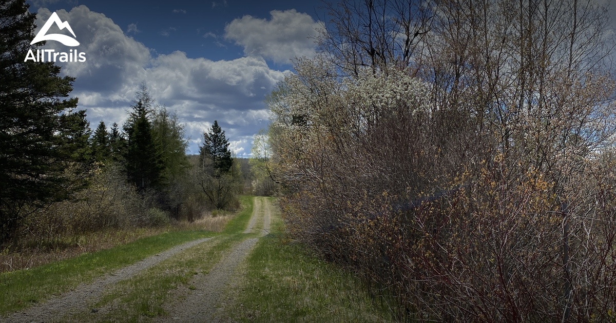 Best hikes and trails in Baring Plt | AllTrails