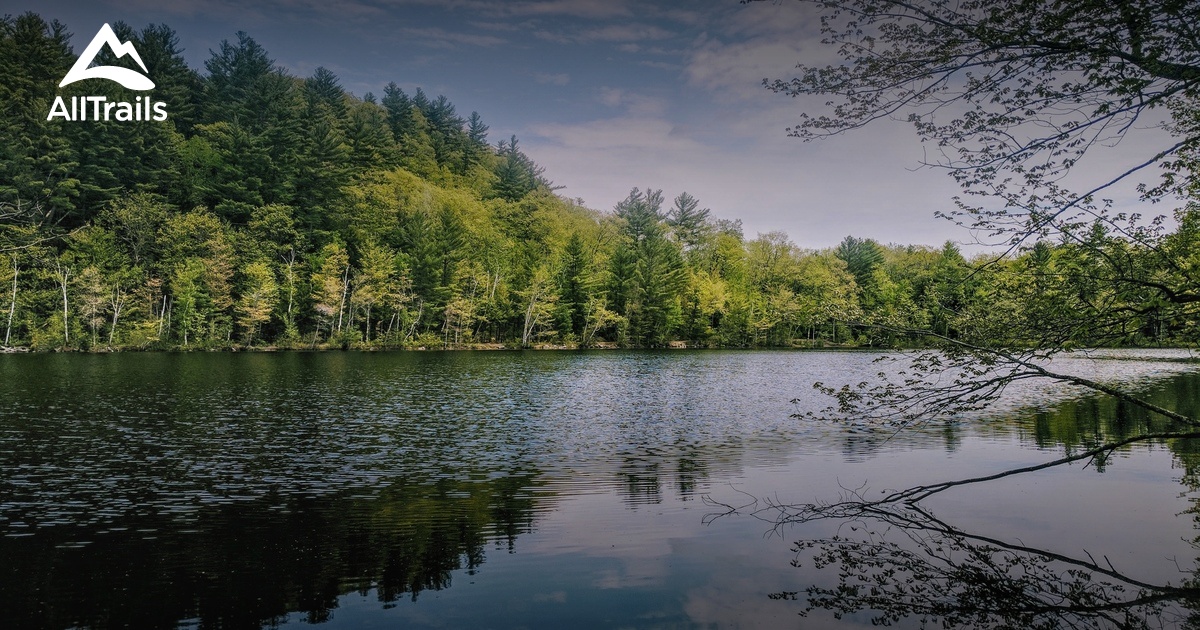 Best hikes and trails in Buckfield | AllTrails