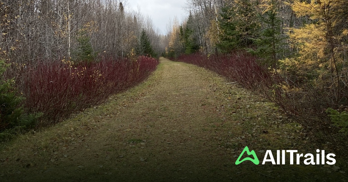 Caswell : les meilleurs parcours de ski de fond | AllTrails