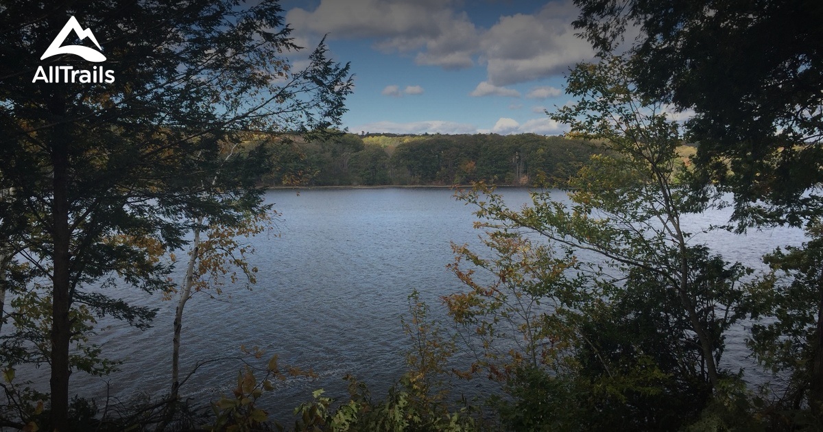 Best forest trails in Dresden | AllTrails