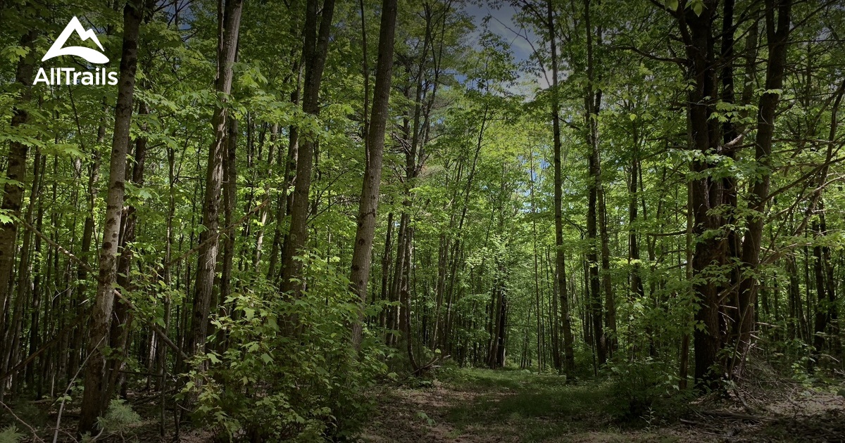 Best hikes and trails in Leeds | AllTrails