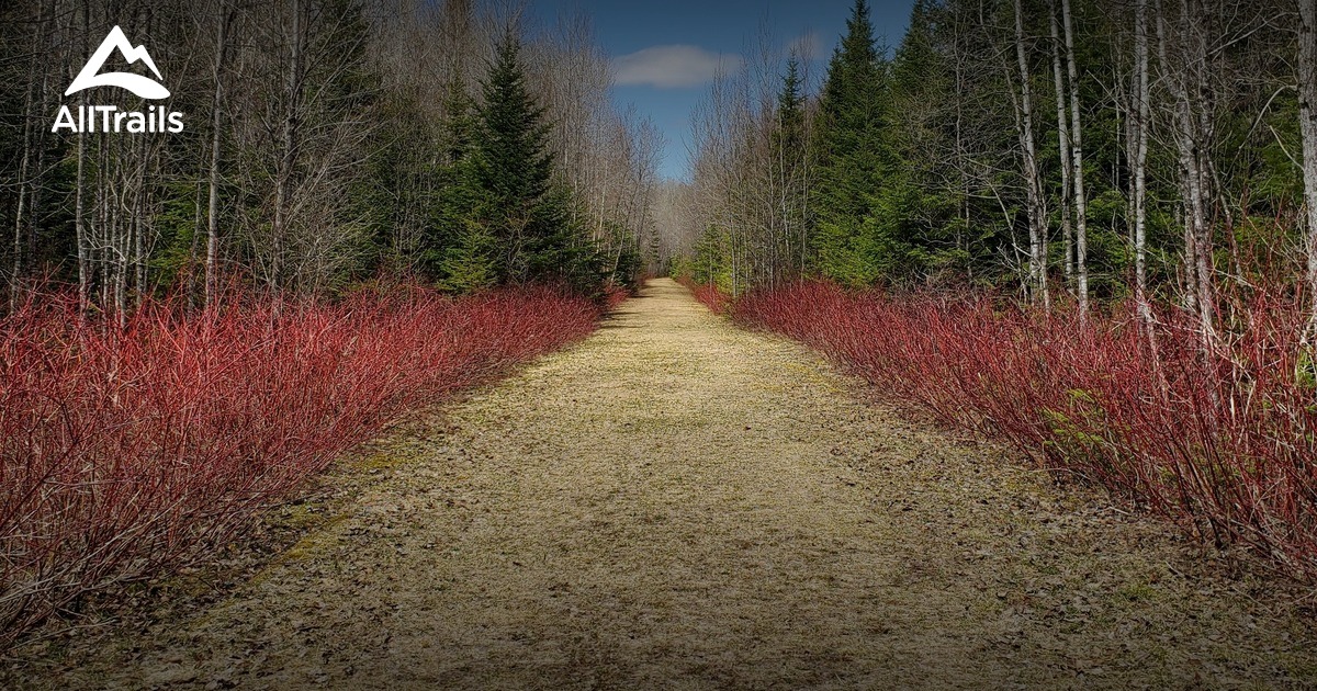 Best hikes and trails in Limestone | AllTrails