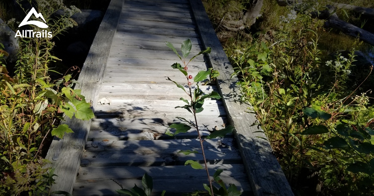 Best forest trails in Manchester | AllTrails