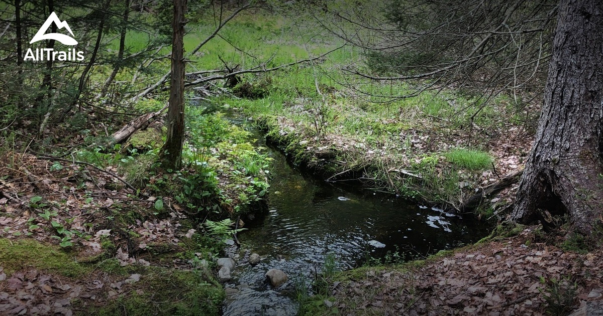 Best hikes and trails in Monroe | AllTrails