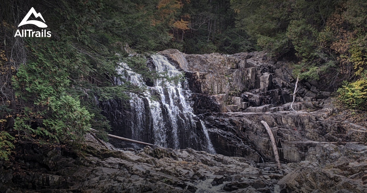 Best hikes and trails in Moscow | AllTrails