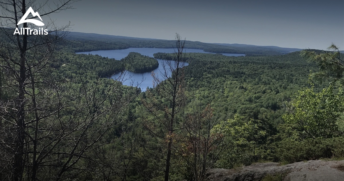 Best hikes and trails in Oakland | AllTrails