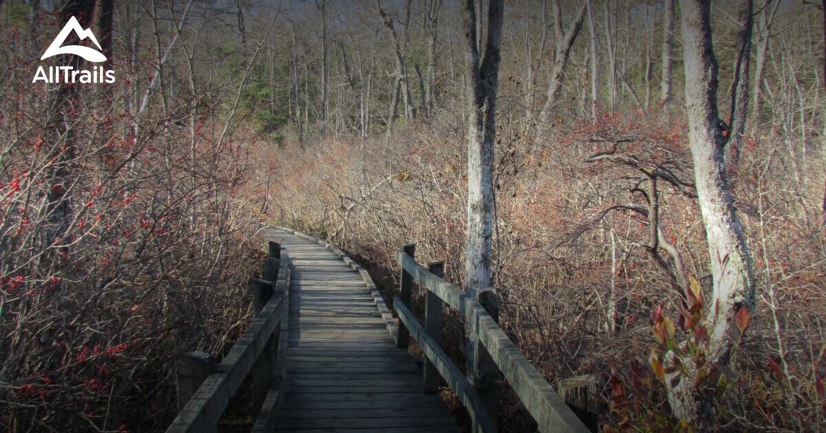 Best hikes and trails in Ocean Park | AllTrails