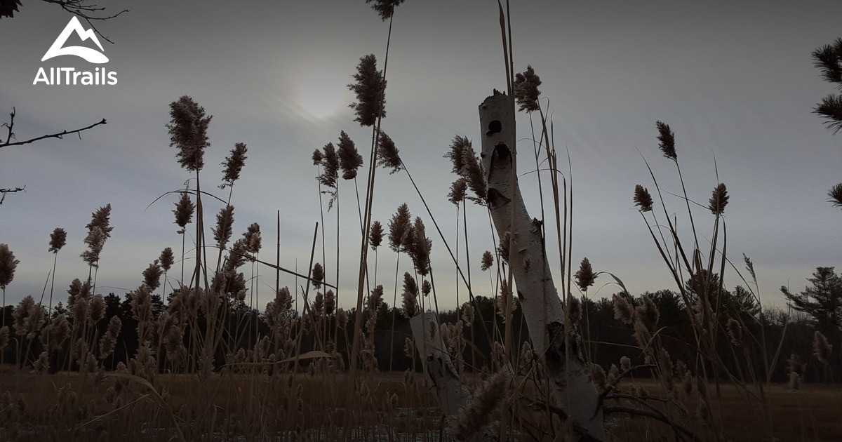 Melhores trilhos fáceis em Old Orchard Beach | AllTrails