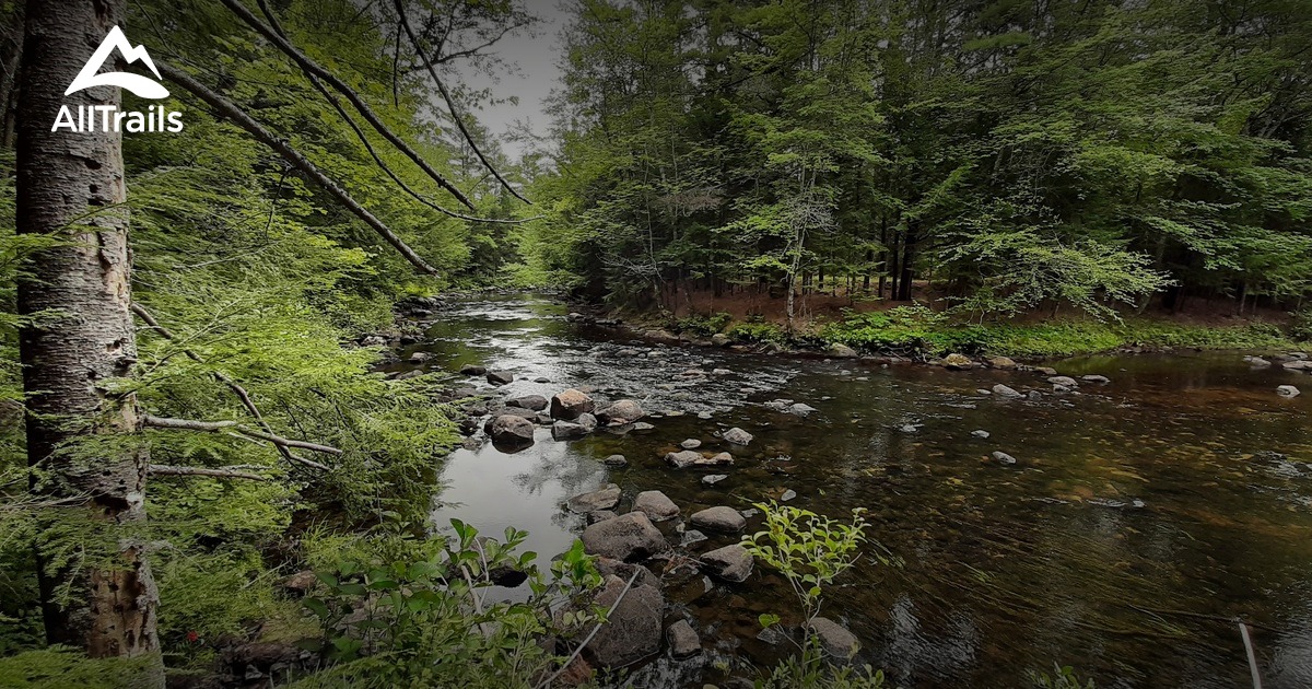 Best hikes and trails in Otisfield | AllTrails