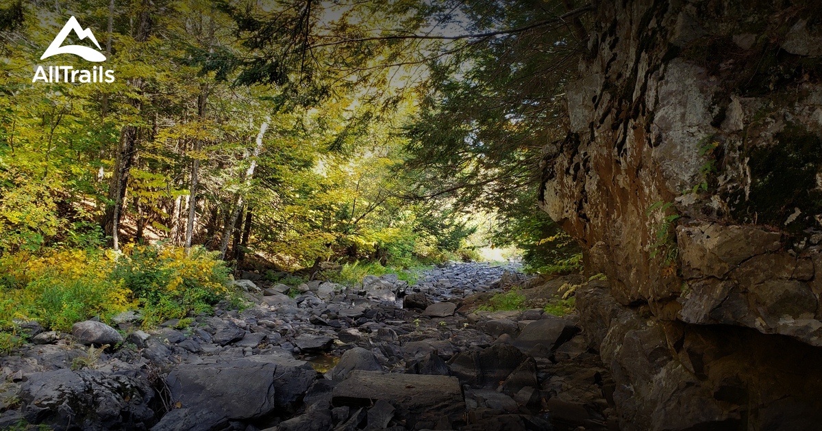 Best hikes and trails in Sidney | AllTrails