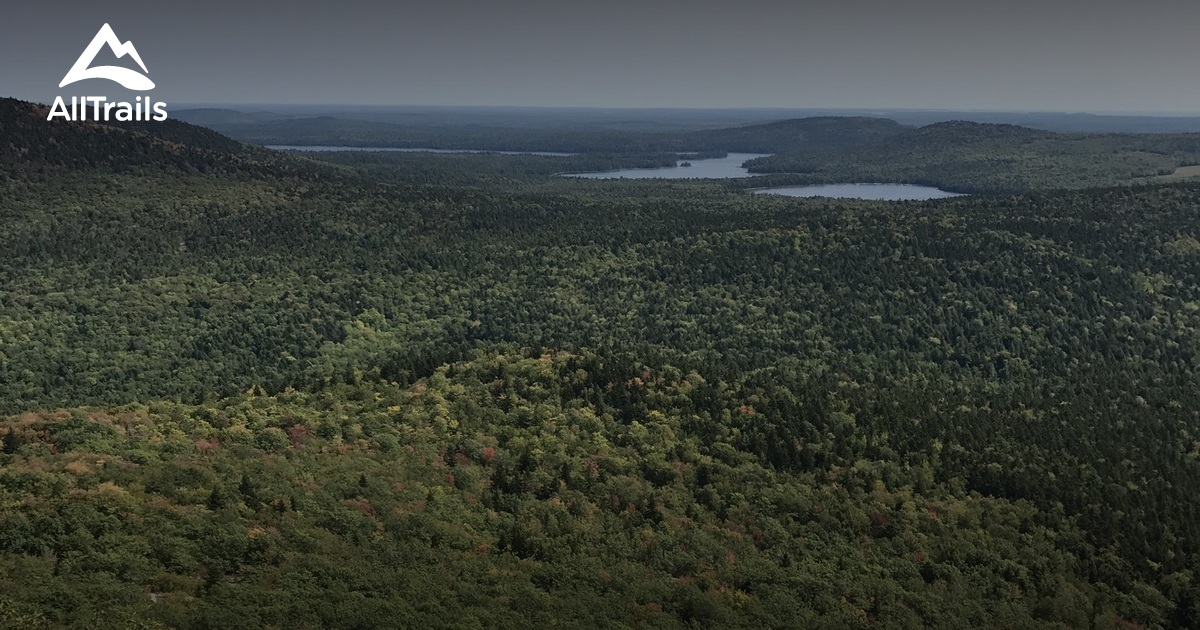 10 Best forest trails in Sullivan | AllTrails