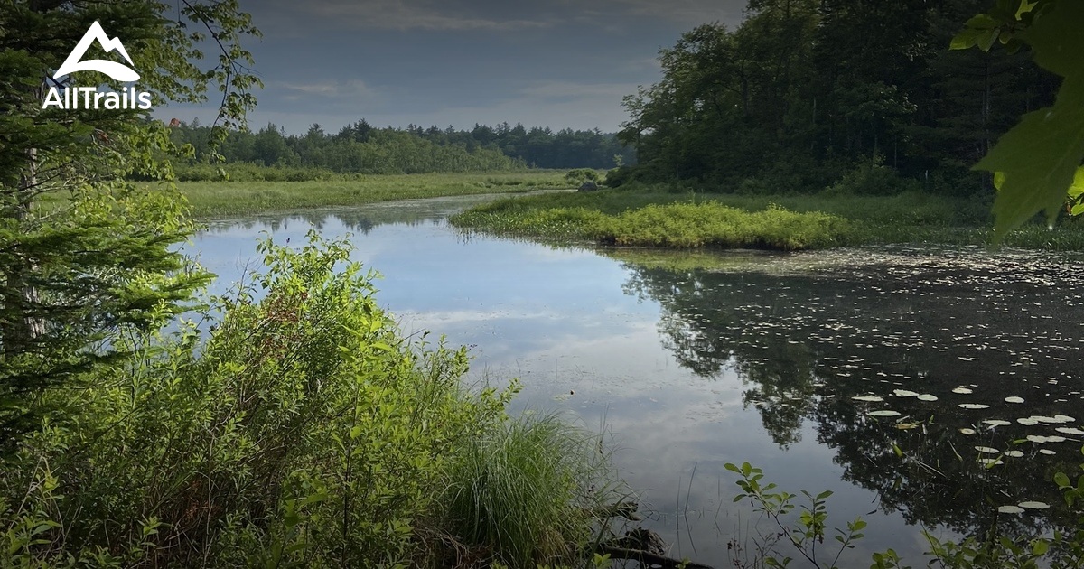 Best hikes and trails in Swanville | AllTrails