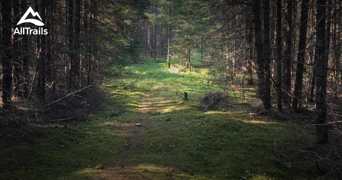 Best trail running trails in Unity | AllTrails