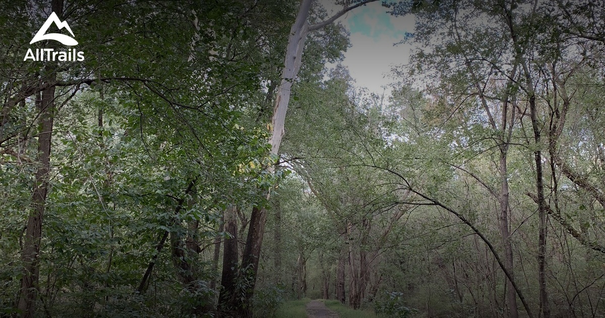 Best hikes and trails in Brunswick | AllTrails