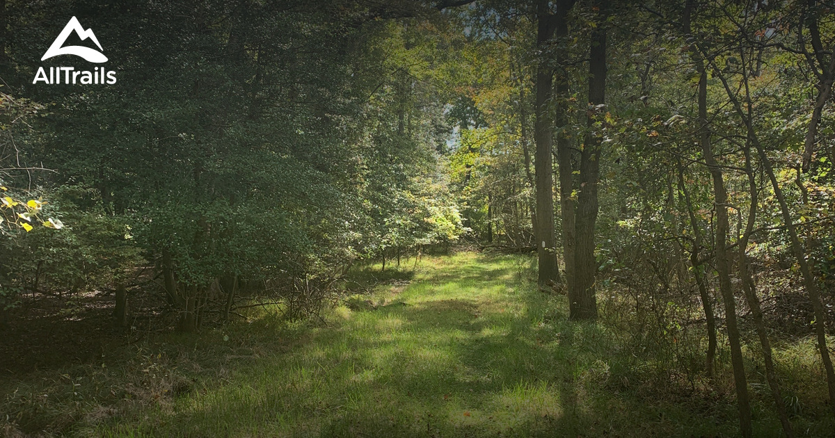 Best forest trails in Chase | AllTrails