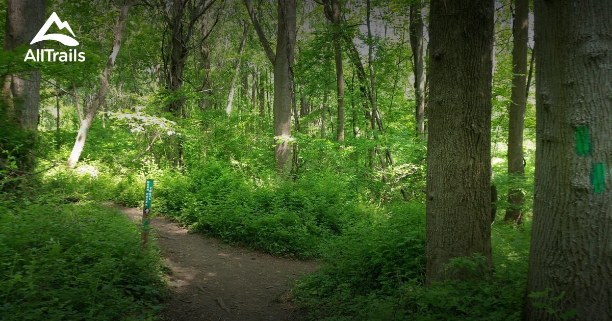 Best hikes and trails in Darlington | AllTrails