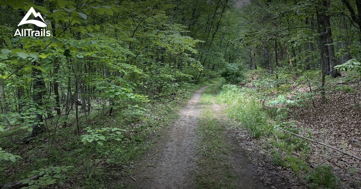 Best hikes and trails in Ellerslie | AllTrails