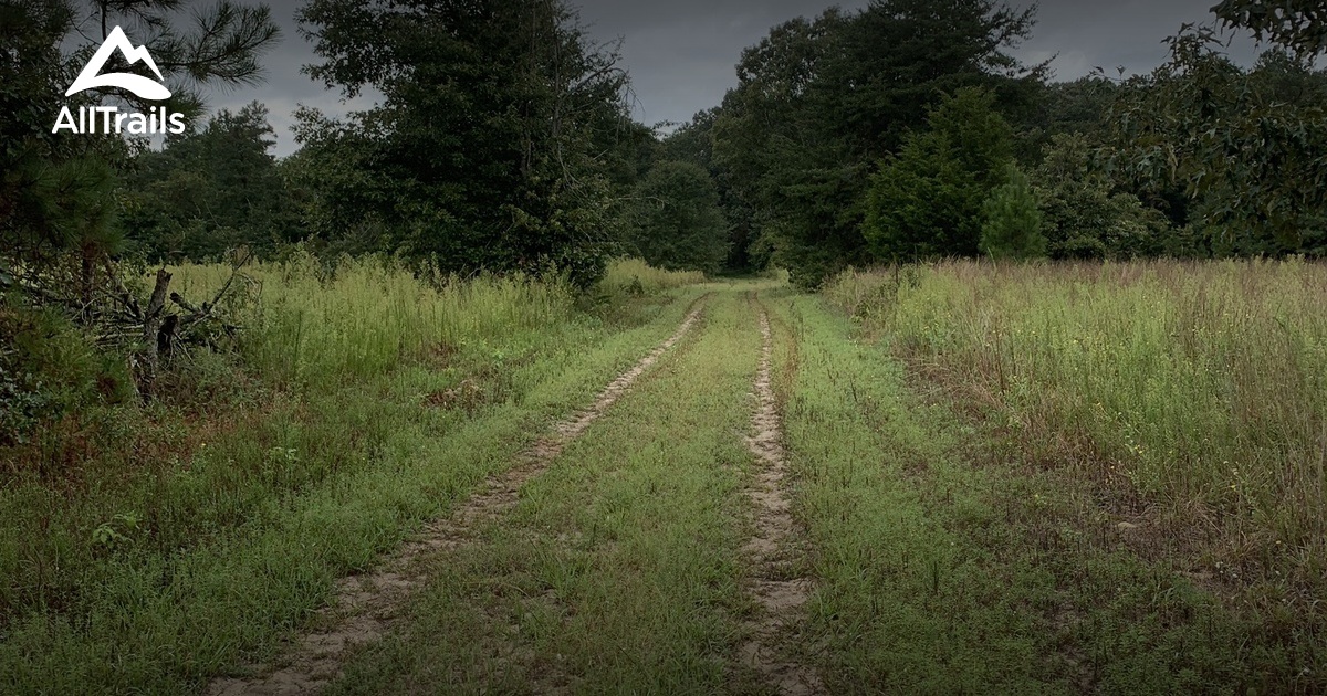 Best hikes and trails in Federalsburg | AllTrails
