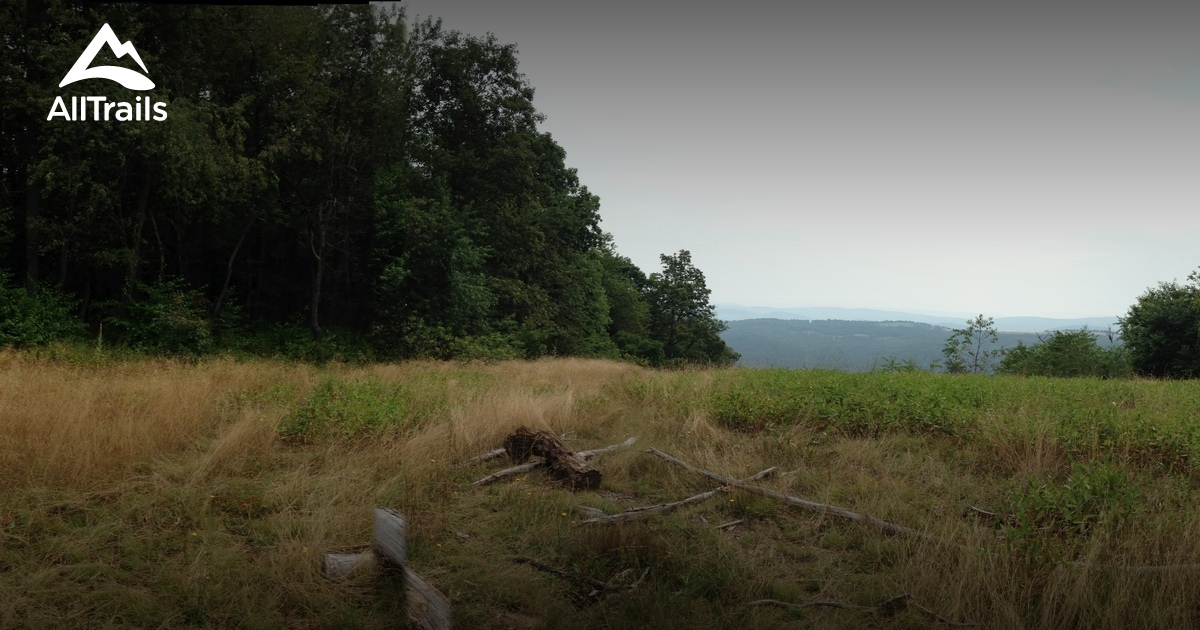 Best hikes and trails in Flintstone | AllTrails