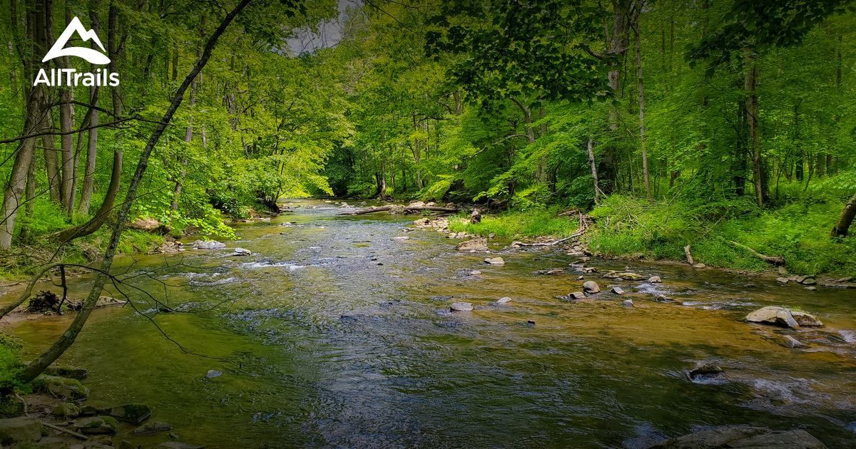 Best forest trails in Fork | AllTrails