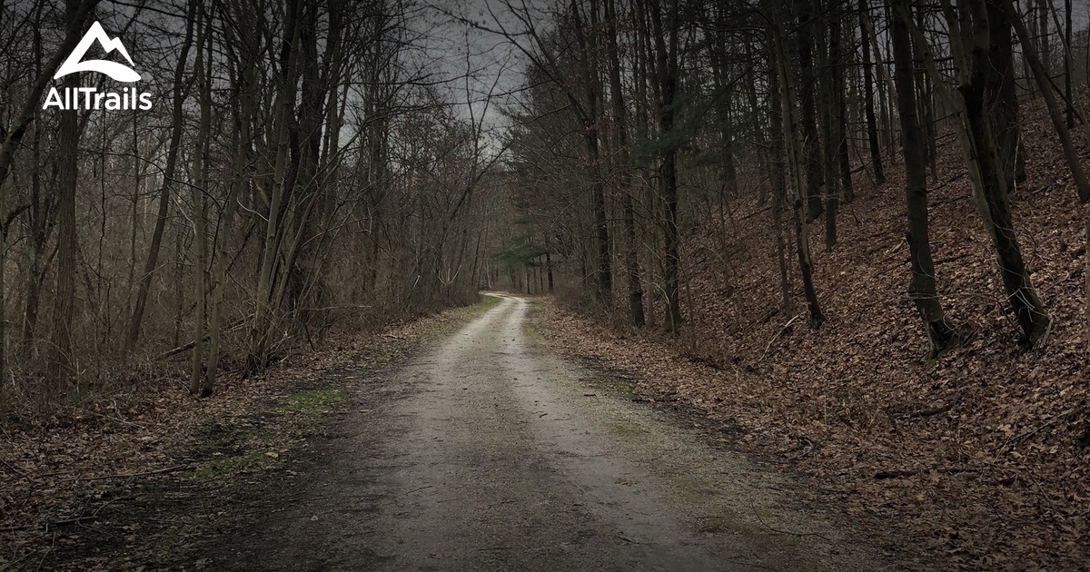 Best hikes and trails in Freeland | AllTrails